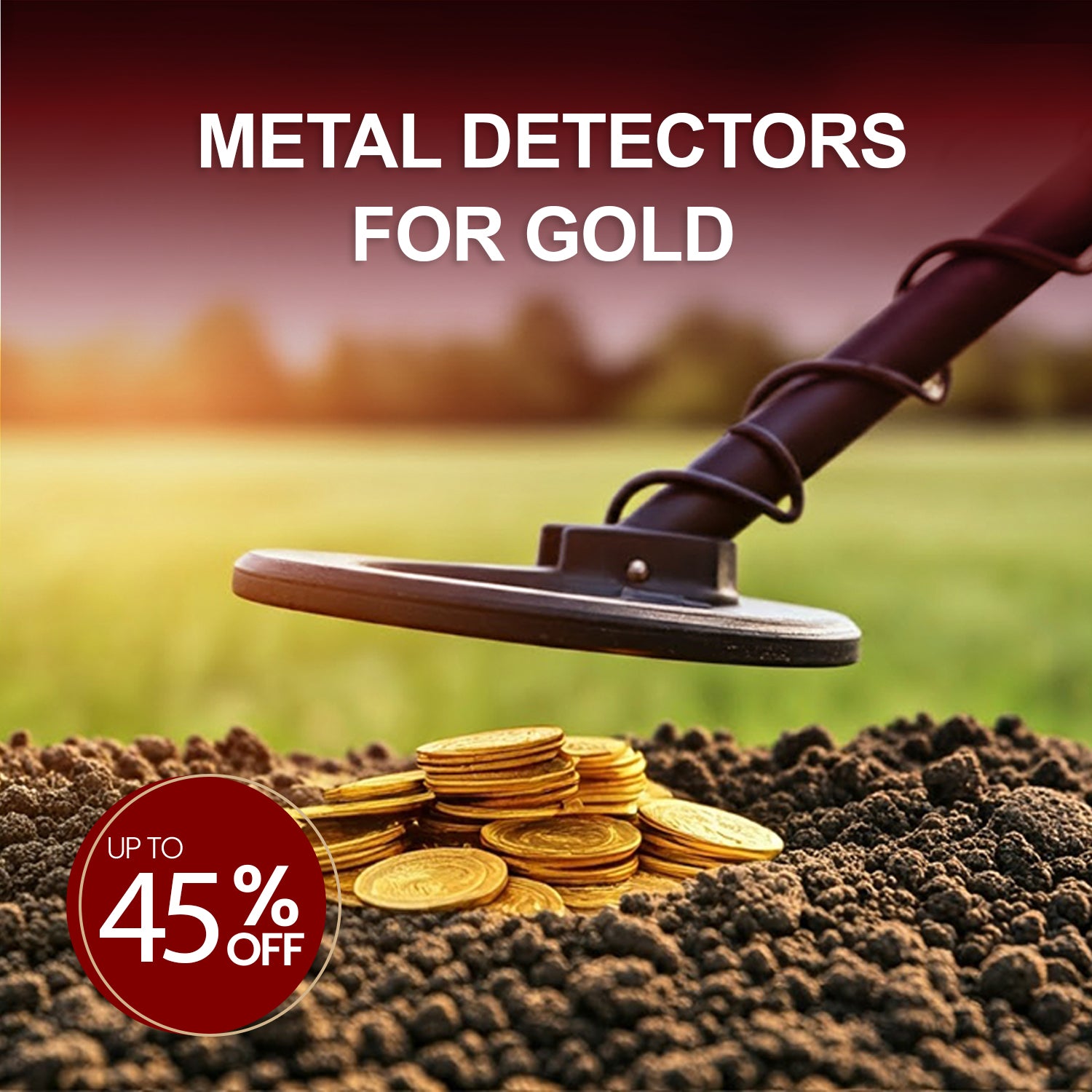 Metal Detectors For Gold | Precision Tools to Find Gold | Metal ...